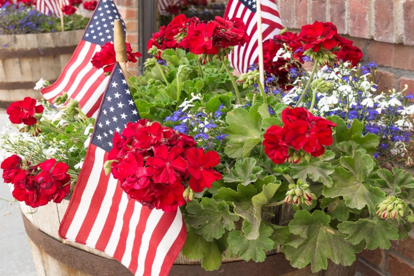 Previous Next x Close